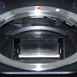 DSLR camera focusing screen cleaning using Focusing Screen Swab and ...